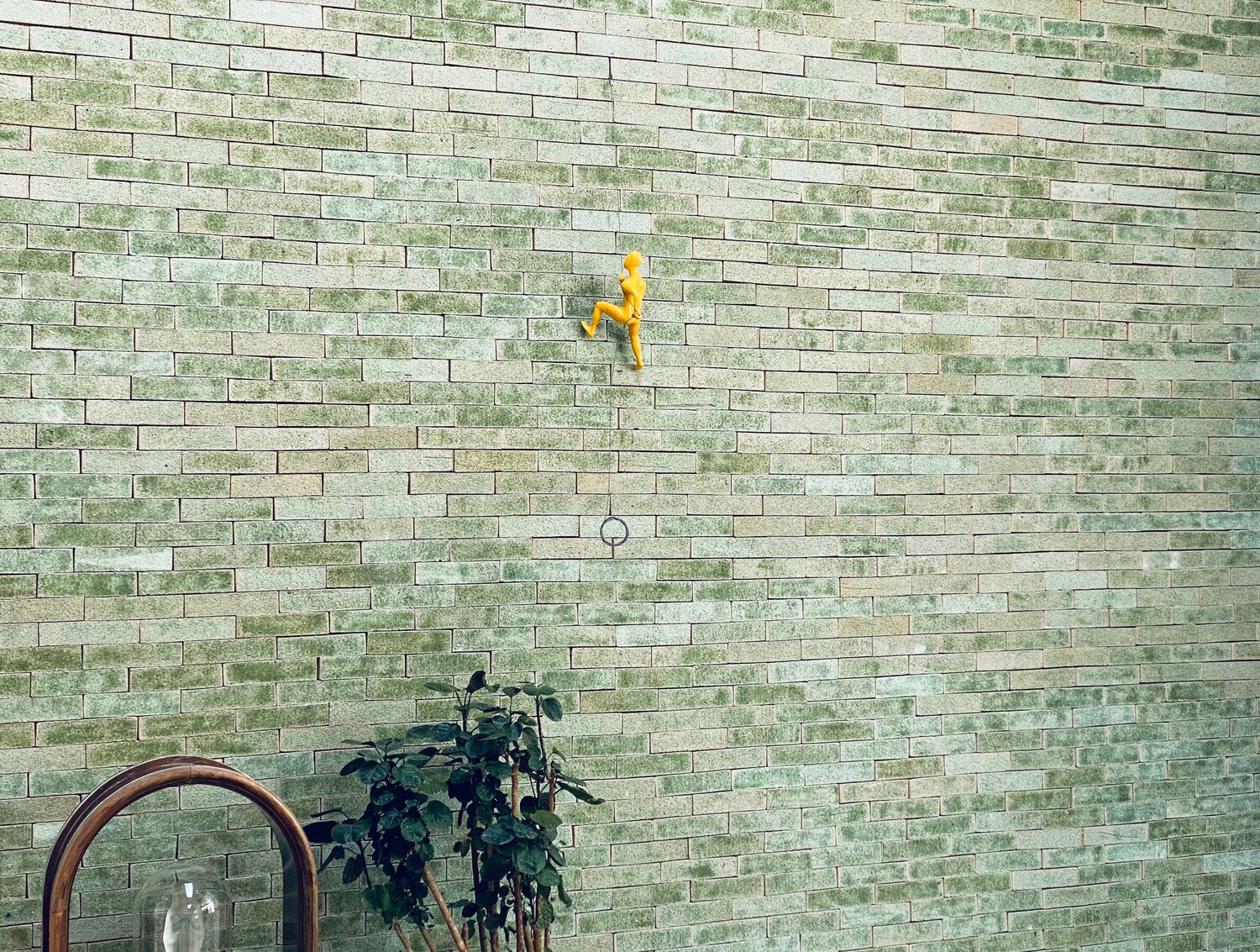 Green Wall Cladding at Private House in Netherlands - FRONT®