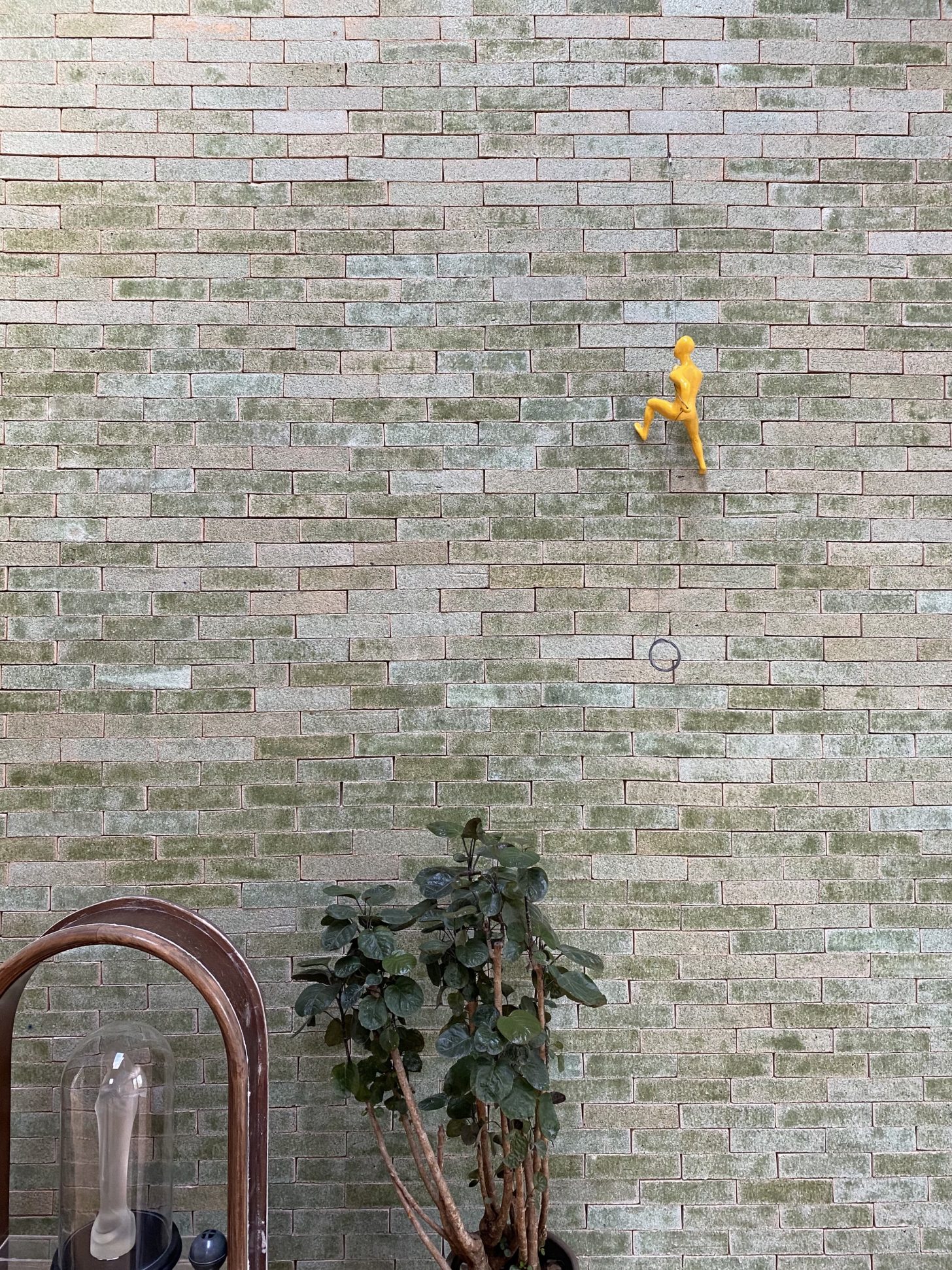 Green Wall Cladding at Private House in Netherlands - FRONT®